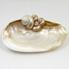 Clam Dish with Turban Shells By Marjorie Bloom Collection - S & K Ltd.