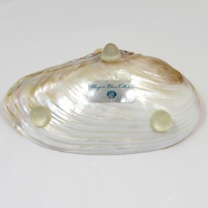 Clam Dish with Turban Shells By Marjorie Bloom Collection - S & K Ltd.