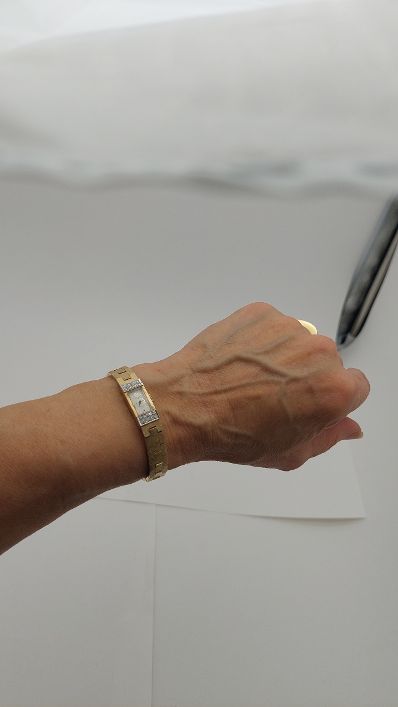 Nastrix Incabloc 14 Karat Yellow Gold Woman's Wrist Watch - S & K Ltd.