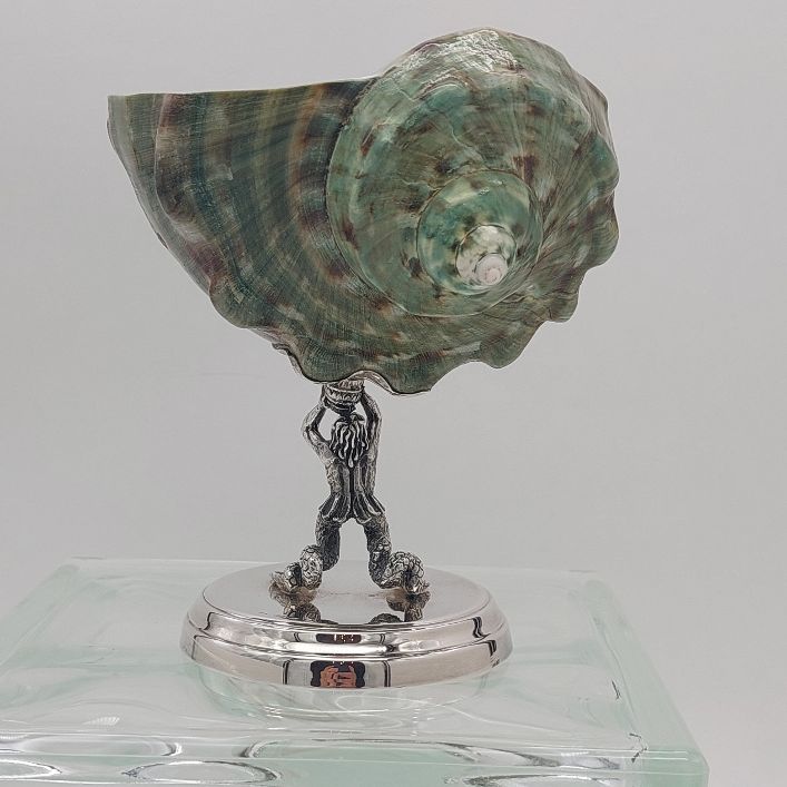 Sterling "Sea Warior" Based Jade Green Turbo Shell - S & K Ltd.